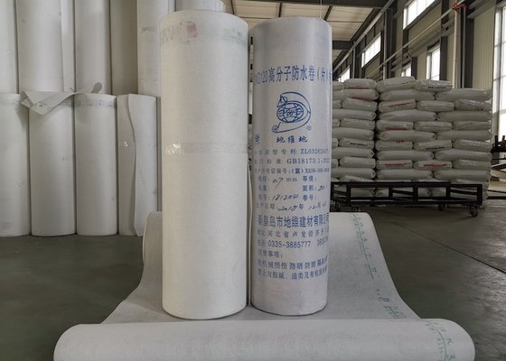 Construction Polyethylene Waterproofing Membrane Chemical Corrosion Resistant