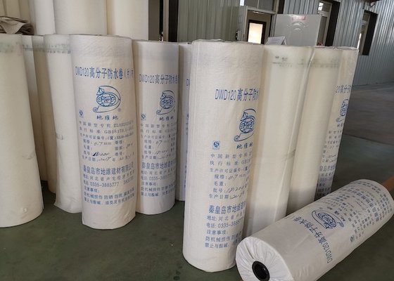 Reliable Pool Waterproofing Membrane Vapor Resistance Adapt Temperature Changing