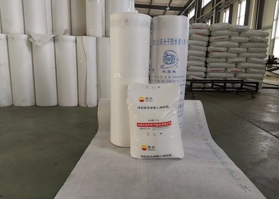 High Density Tunnel Waterproofing Membrane Polymeric Material Flexible