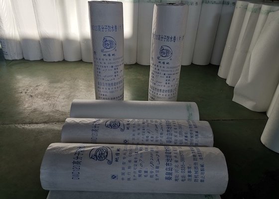 Moisture Seeping  Proof Tunnel Waterproofing Membrane Stable Water Resistant Layer