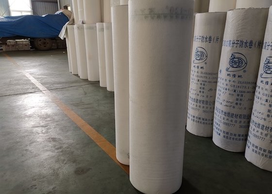 Moisture Seeping  Proof Tunnel Waterproofing Membrane Stable Water Resistant Layer