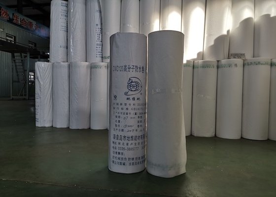White Basement Waterproofing Membrane Moisture Damage Protection DWD 120