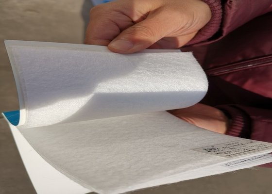 PE Waterproof Membrane Sheet Chemical Corrosion Resistant Long Service Life