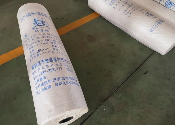 Building Polyethylene Waterproofing Membrane , Foundation Coating Membrane DWD