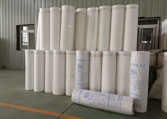 PE Interior Basement Waterproofing , Waterproof Roof Membrane Easy Install
