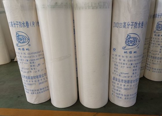High Density Tunnel Waterproofing Membrane Polymeric Material Flexible
