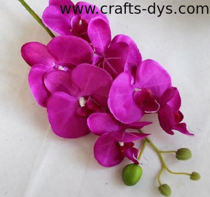 Small butterfly orchid，seven head butterfly orchid,Dried flowers, Simulation flowers, grass flower,Artificial flowers