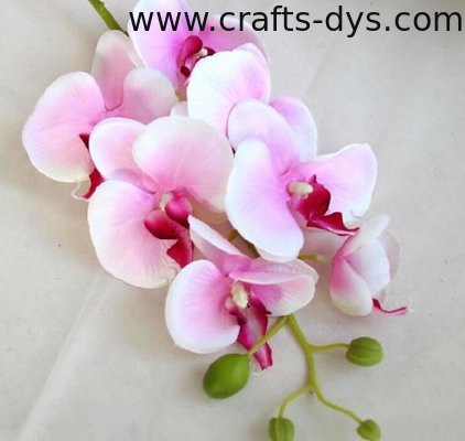 Small butterfly orchid，seven head butterfly orchid,Dried flowers, Simulation flowers, grass flower,Artificial flowers