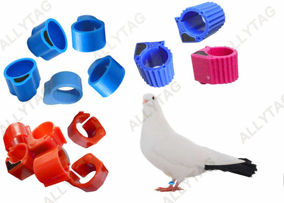 Poultry UHF RFID TAGS Animal Pigeon Foot Loop  For Tracing Management