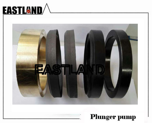 SPM TWS2250 Triplex Frac Plunger Pump Plunger Valve and Seat and Packing supplier