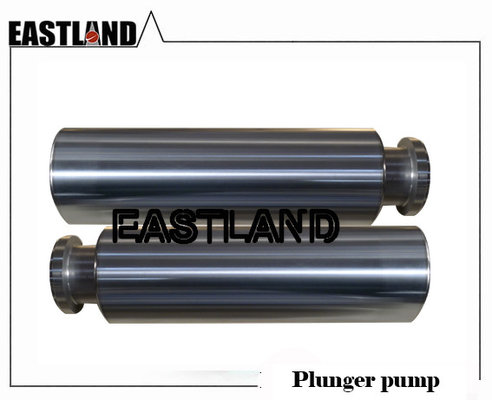 Gardner Denver TEE  Plunger Pump Fluid End Plunger supplier