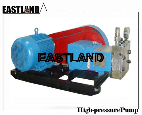 Sell Quality Sea Water Pump Triplex Piston/Plunger Pump Made in China supplier