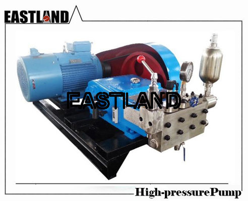 Sell Quality Sea Water Pump Triplex Piston/Plunger Pump Made in China supplier