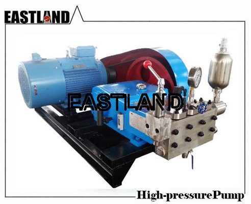 Sell Quality Sea Water Pump Triplex Piston/Plunger Pump Made in China supplier