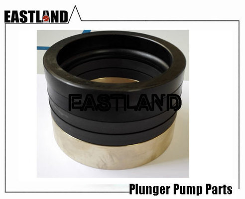China SPM TWS600 cement Plunger Pump Plunge Packing Sssy supplier
