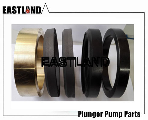 API Oil Well Frac & Cement Plunger Pump Hard-chrome Plated Plunger supplier