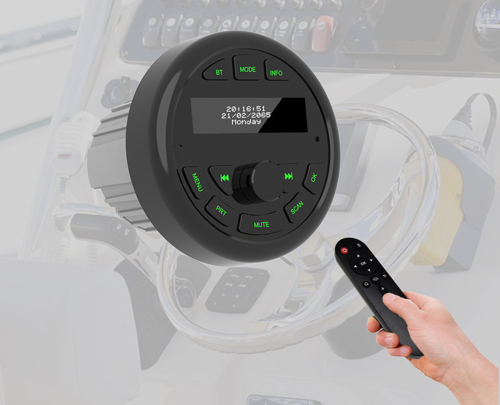 Marine audio system