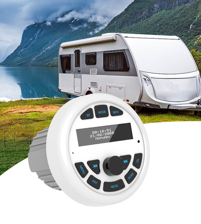 Marine audio system