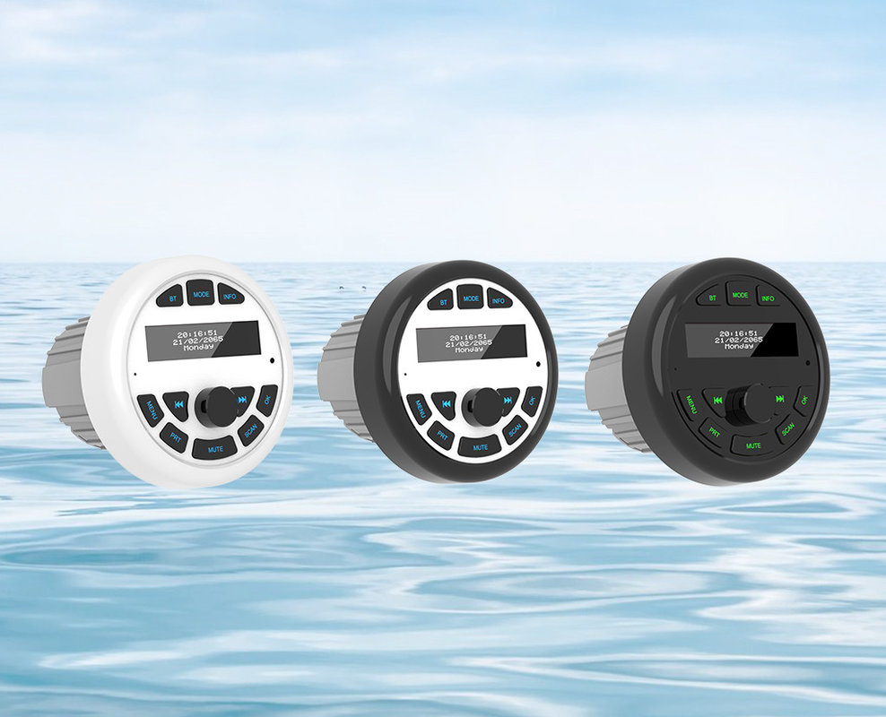 Marine audio system