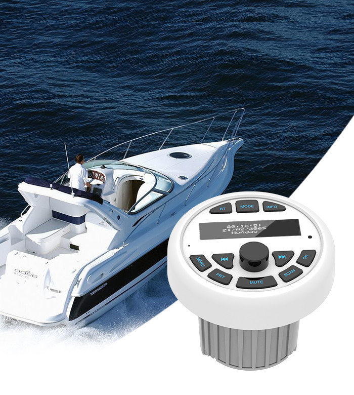 Marine audio system