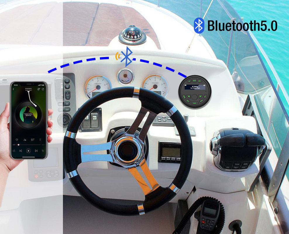 Marine audio system