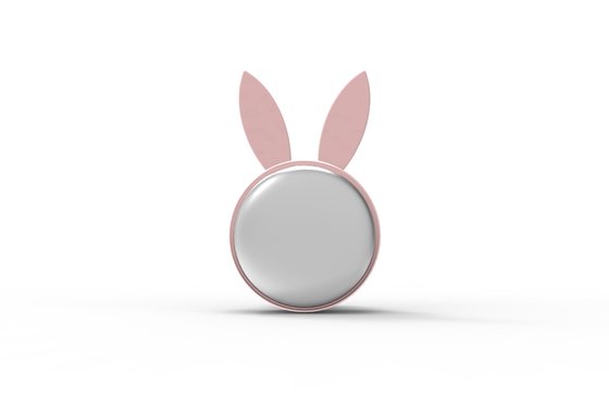 Pet car diffuser with different shapes 1g  Design/frangrance customization applied in car air condition area supplier