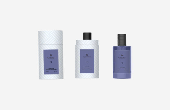 100ml Floral Aquatic Eau De Toilette Perfume Long Time Fragrance Custom Logo supplier