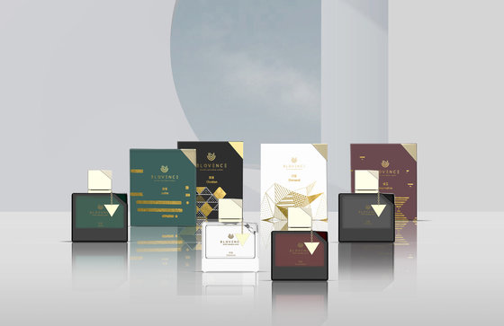 Male Long Lasting Eau De Parfum 100ml Woody Aromatic Private Label OEM/ ODM supplier