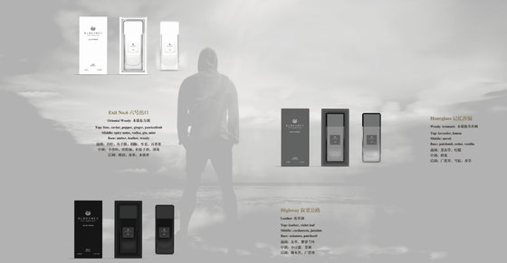 Original Private Label Popular Mens Perfume 45ml MALE Woody Aromatic supplier