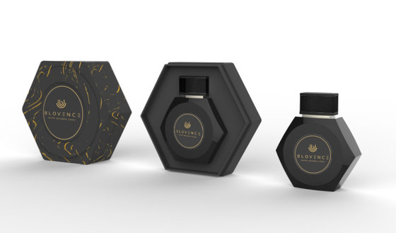 Elegant Scent Popular Mens Perfume 100ml MALE Oriental Woody Male Fragrance supplier