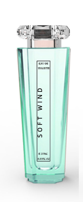 Women'S Perfume Gift Set Floral Bouquets SOFT Wind 25ML*6 FEMALE Floral Green FOB supplier