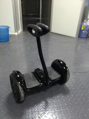 Huge Personal Transporter Scooter Mini With 350 Motor / Newest Outdoor Sport Transportation