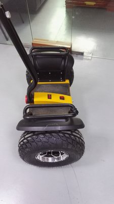 Super Large E Balance Scooter S3 With Black And White / 350w Motor