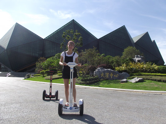 15 Inch Smart Electric 2 Wheels Self Balancing Scooter Electric Chariot Off Road