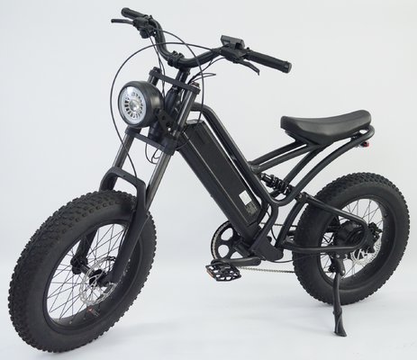 Electric Bicycle 20 Inch Fat Tire