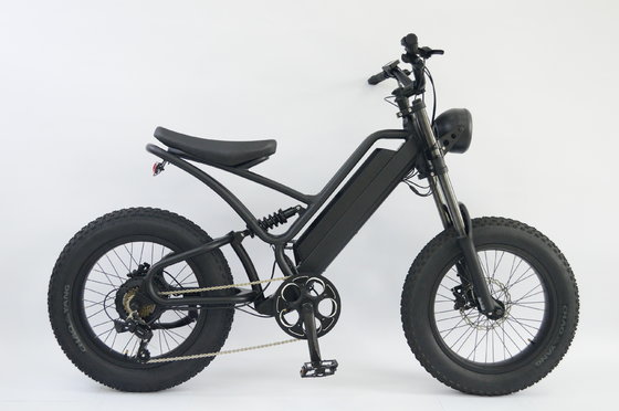 Electric Bicycle 20 Inch Fat Tire