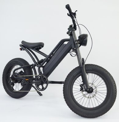 Electric Bicycle 20 Inch Fat Tire