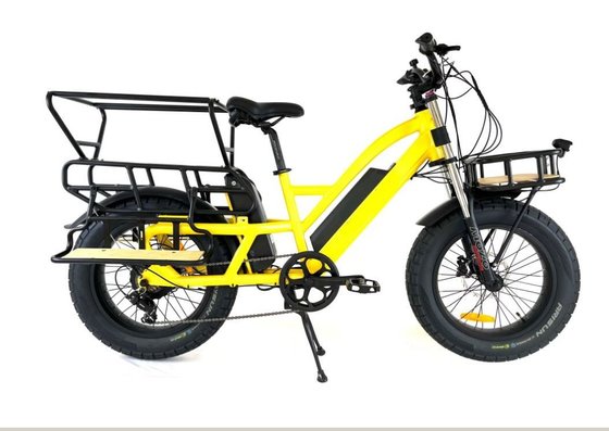 48V15AH Dual battery  Electric power assisted Cargobike  80 Km Range