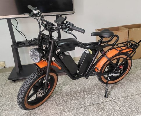 48V Doual Motor Fat Tire Bicycle with 48V 22Ah *2  Battery