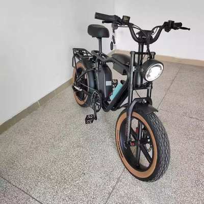 E-BIKE  Fat Bike  48V1000W Rear  motor 48V222AH *2 doual  battery