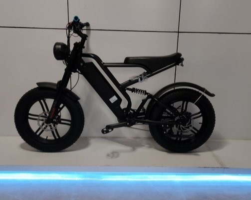 48V1000W Motor Electric Fat Bike  with Throttle  and torque sensor