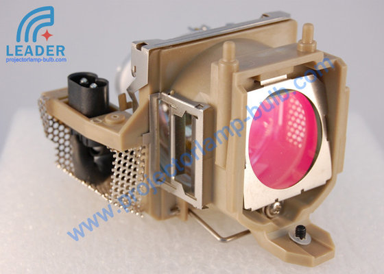 Benq Projector Lamp for PB2140 PB2240 PB2250 PE2240 5J.J0M01.001 supplier