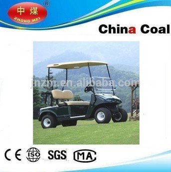 2 person single seat electric mini golf cart for sale