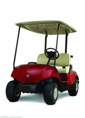 Cheap Golf Cart for Sale, 2 Seater Electric Golf Cart, CE Approved