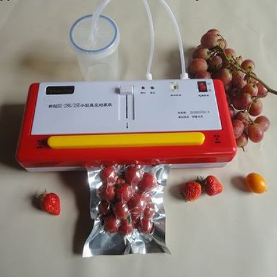 DZ-280/2SE Household Portable Vacuum Packaging Machine