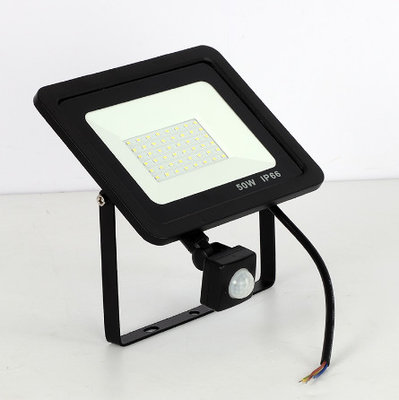 LED Flood light
