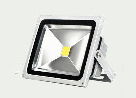 New update 24V 30W LED Flood light 100Lm per watt Ip65 LED COB gardening lamp supplier