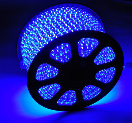 220V SMD 5050 silicon waterproof LED strip light IP68 colorful strip light supplier