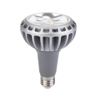 2500lm 28W COB Color Diameter 95mm Par30 LED Par Light