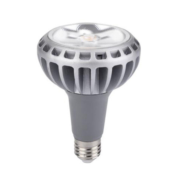 high quality CRI80 COB E27 5500k led lights par30 18w 28w warm white